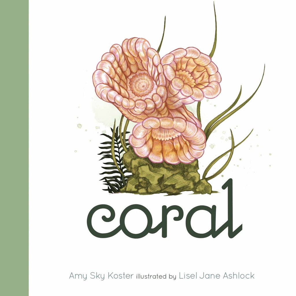 Amy Sky Koster: Coral, illustrated by Lisel Jane Ashlock - Tales for ...