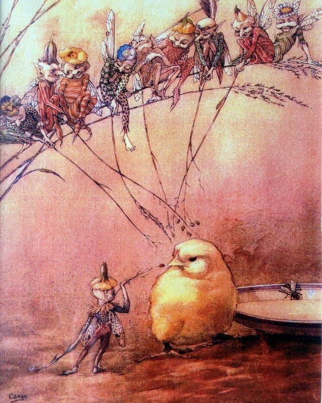 Print: Duncan Carse - Bother the Gnat - Tales for Tadpoles