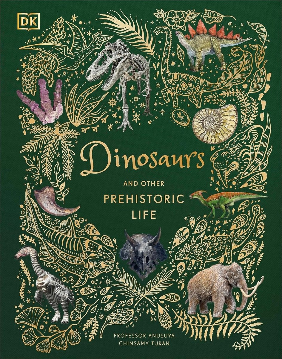 Professor Anusuya: Dinosaurs and Other Prehistoric Life, illustrated by ...